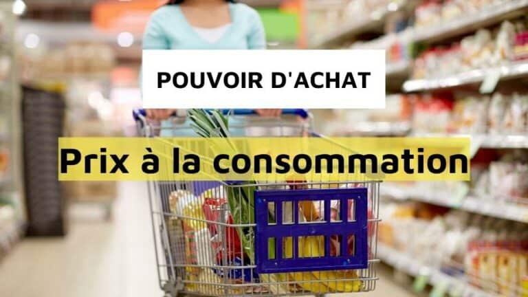 Indice mensuel des prix à la consommation (IPC) (2023)