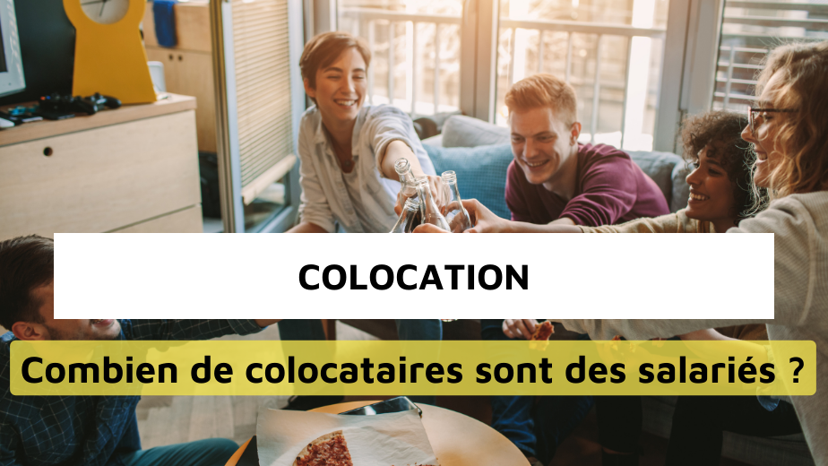 Colocataires : les salariés représentent plus de 45%
