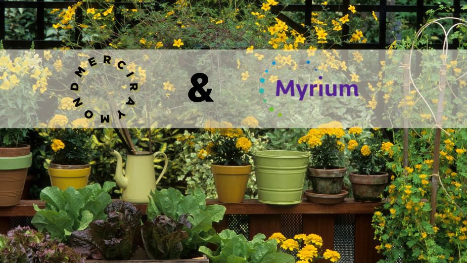 Bâtiments durables : Merci Raymond se rapproche du groupe Myrium