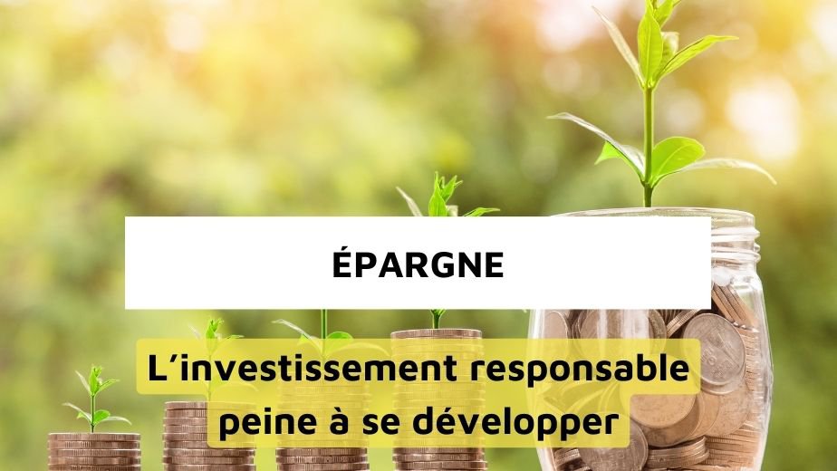 Épargne en 2024 : l'investissement responsable peine à décoller